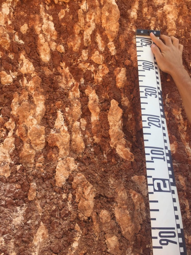 How and when do calcium carbonates accumulate in soils? | Breecker Lab