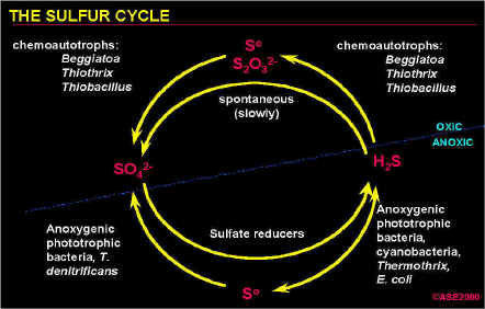 Sulfur Caves | Research in Aqueous and Microbial Geochemistry