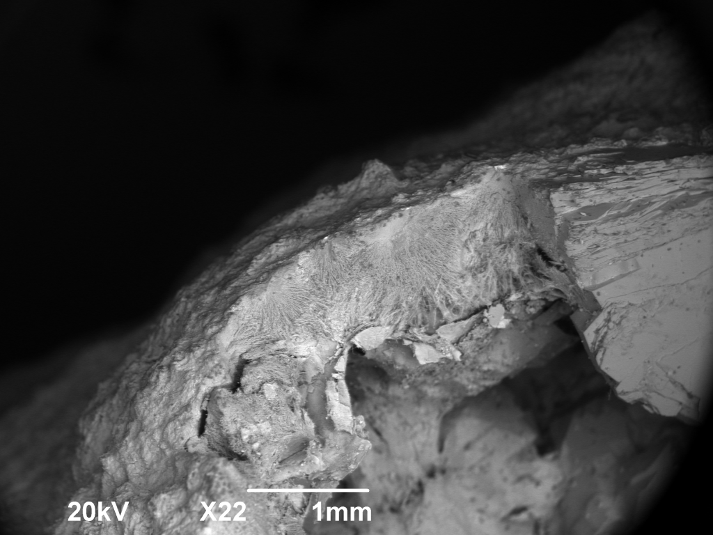 JEOL 6490 Low-Vacuum Scanning Electron Microscope | Ebeam | Jackson School of Geosciences | The ...