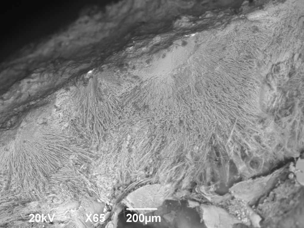 JEOL 6490 Low-Vacuum Scanning Electron Microscope | Ebeam | Jackson School of Geosciences | The ...