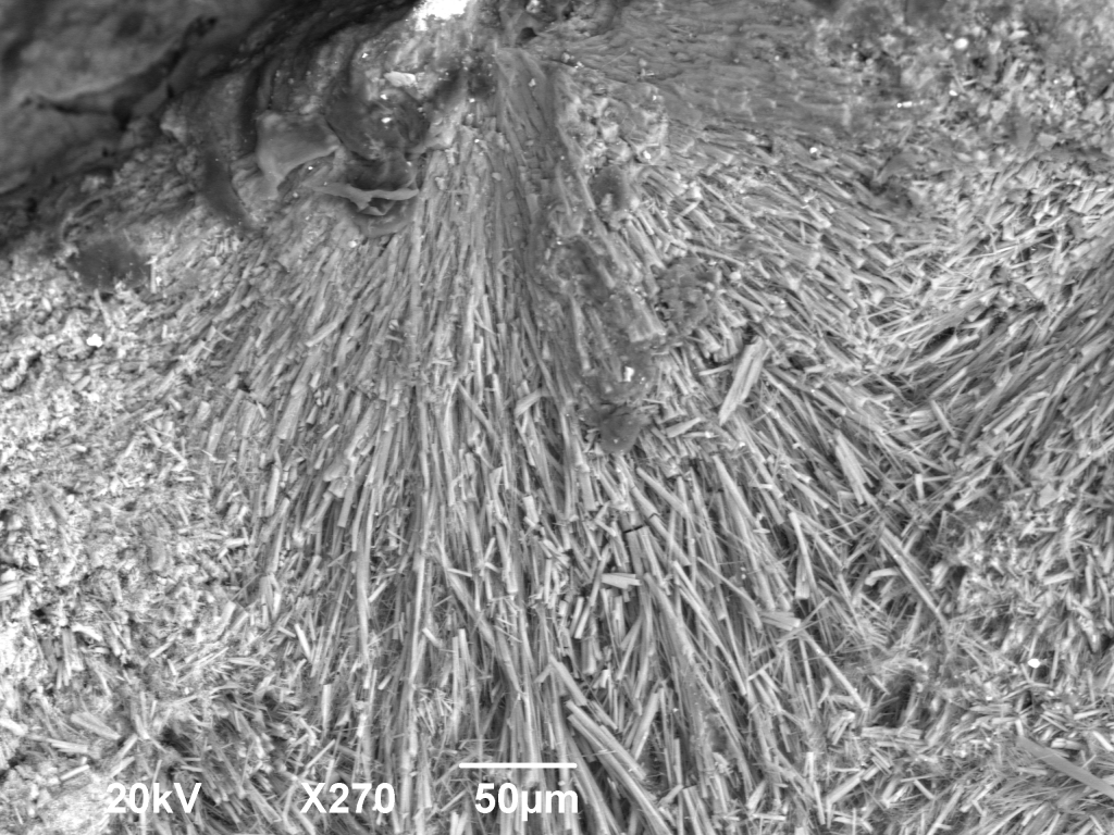 JEOL 6490 Low-Vacuum Scanning Electron Microscope | Ebeam | Jackson School of Geosciences | The ...