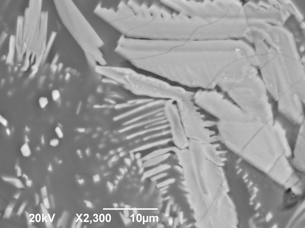 JEOL 6490 Low-Vacuum Scanning Electron Microscope | Ebeam | Jackson School of Geosciences | The ...