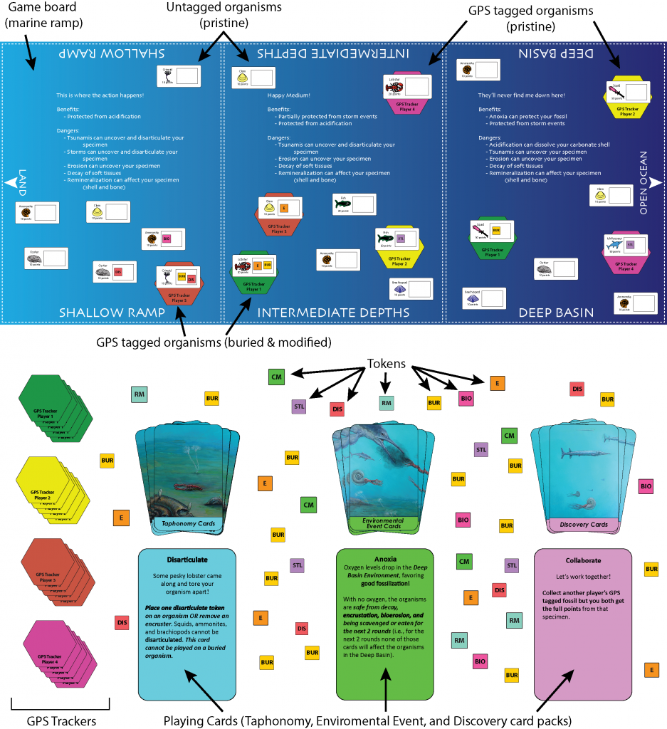 Paleontological Board Games | Martindale Research Group