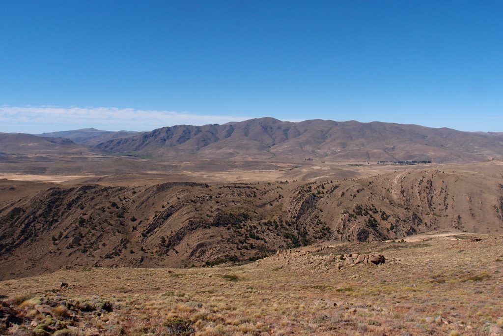 Neuquen Basin