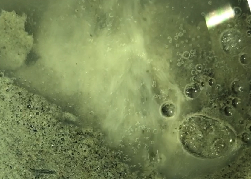 Computer Model Solves Mystery of How Gas Bubbles Build Big Methane ...