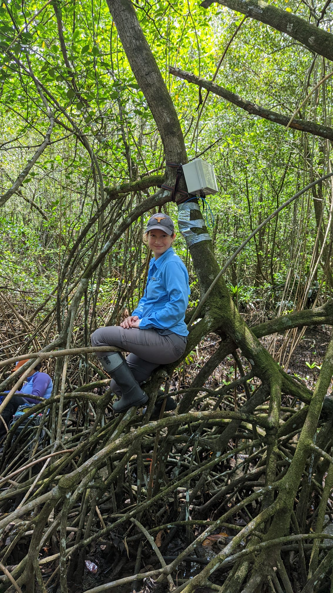 NSF Helping Matheny Take Water Monitor for Trees to Market | Jackson ...