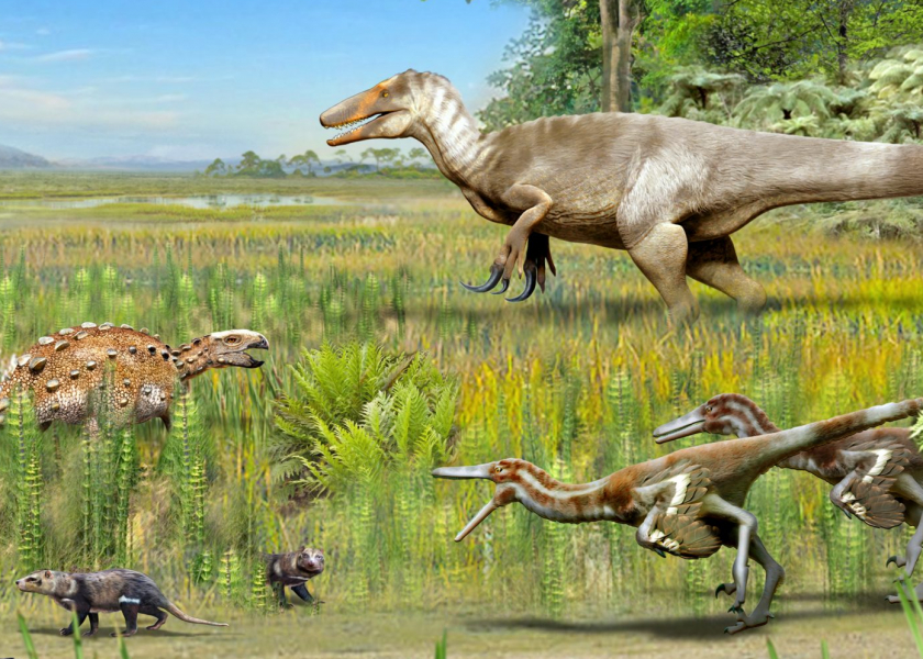 Fossils Reveal Dinosaurs of Prehistoric Patagonia | Jackson School of ...
