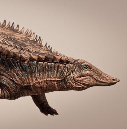 Tanks of the Triassic: New Crocodile Ancestor Identified | Jackson ...