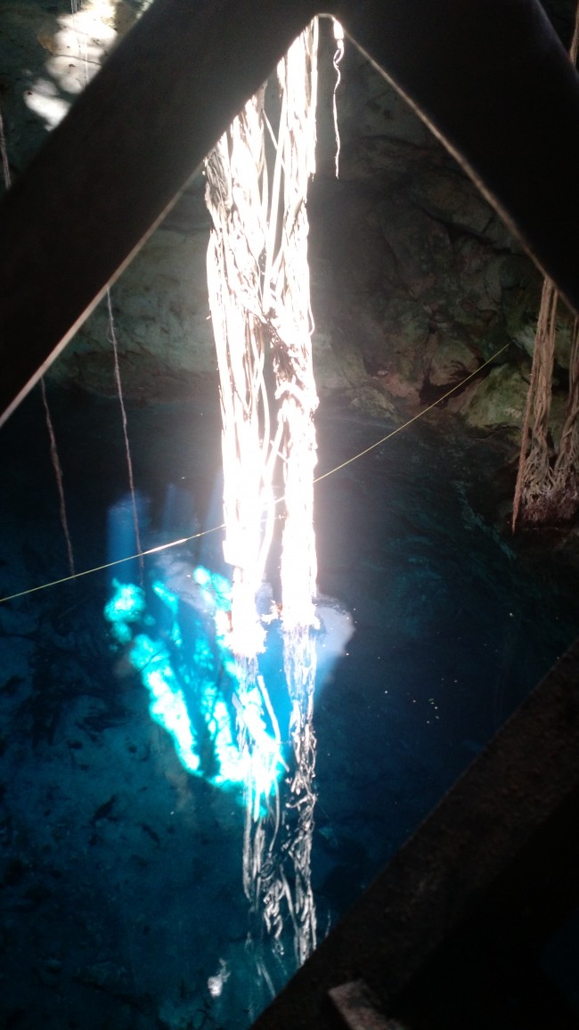 Cenote Descent | Jackson School of Geosciences | The University of ...