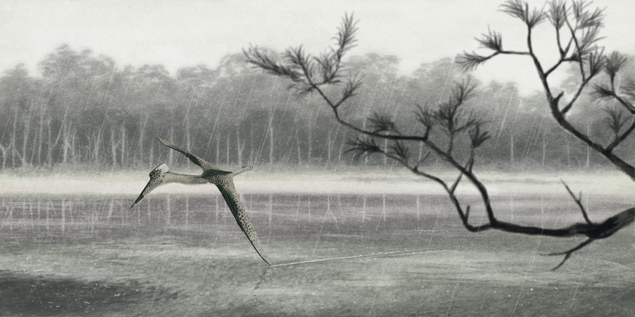 World’s Largest Pterosaur Leaped Aloft to Fly | Jackson School of ...