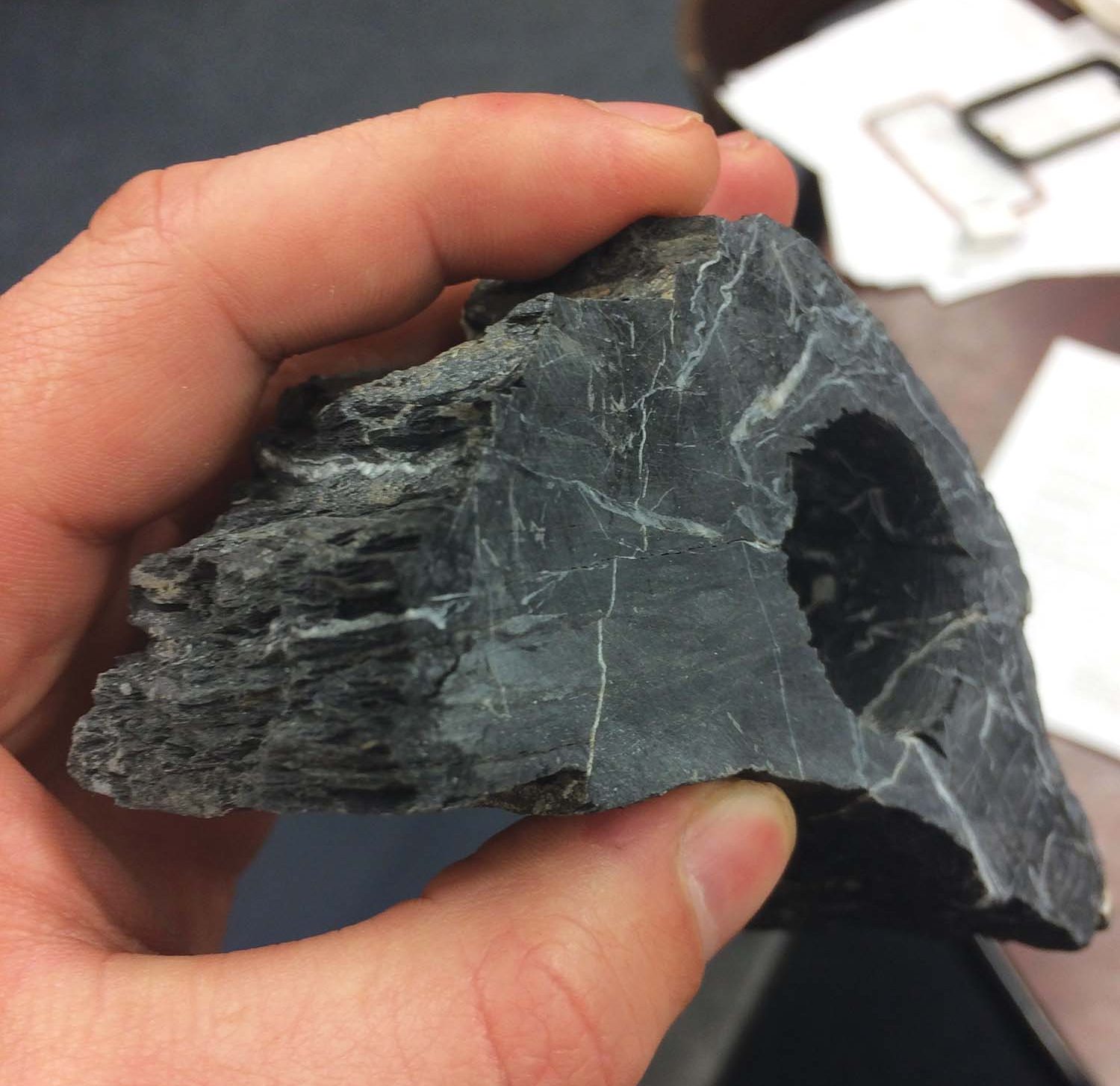 Things You Should Know About Jackson School Labs | Jackson School of ...