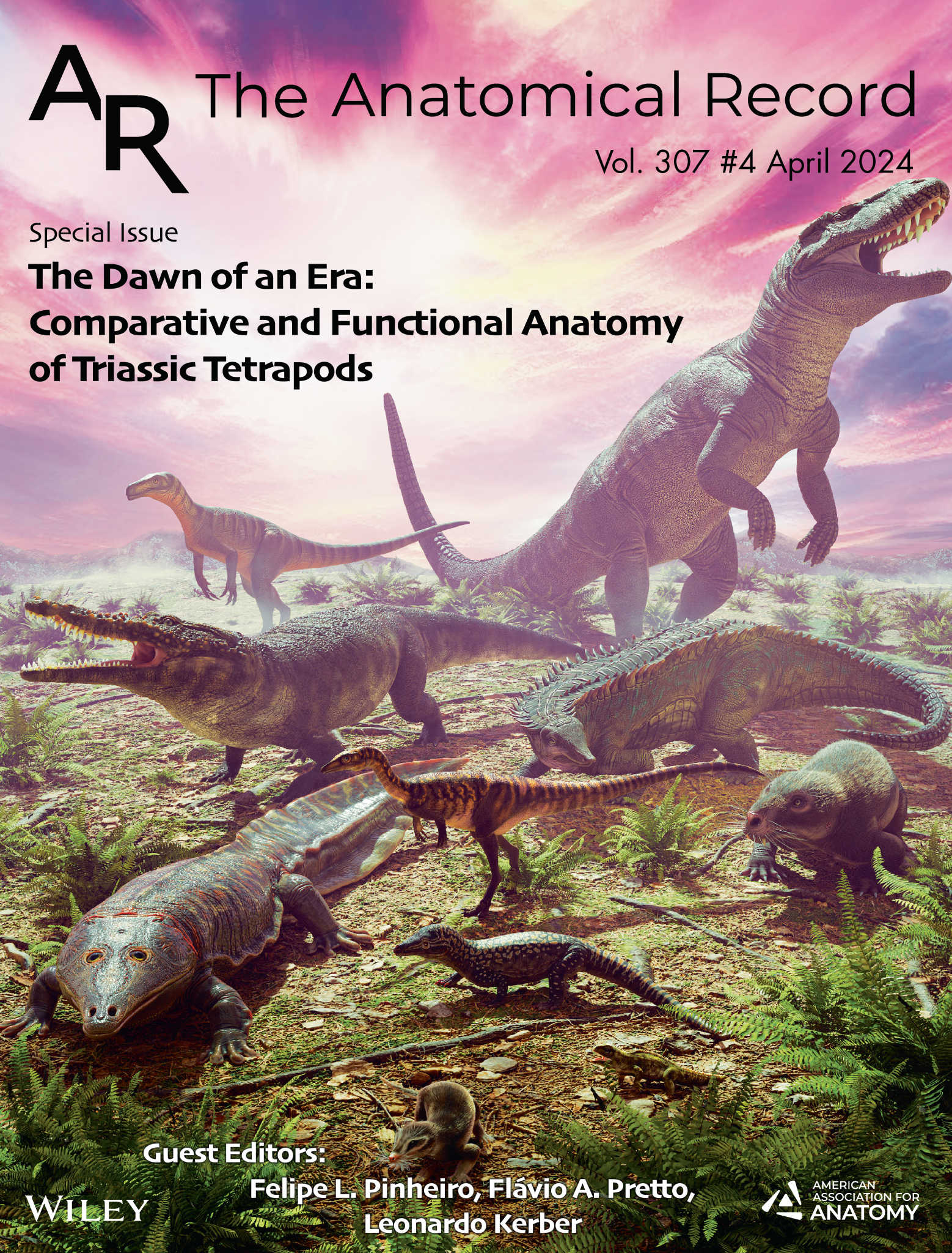 Tanks of the Triassic: New Crocodile Ancestor Identified | Jackson ...