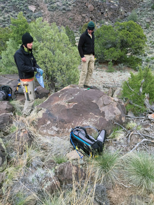 Cracking the Tectonics Question | Jackson School of Geosciences | The ...