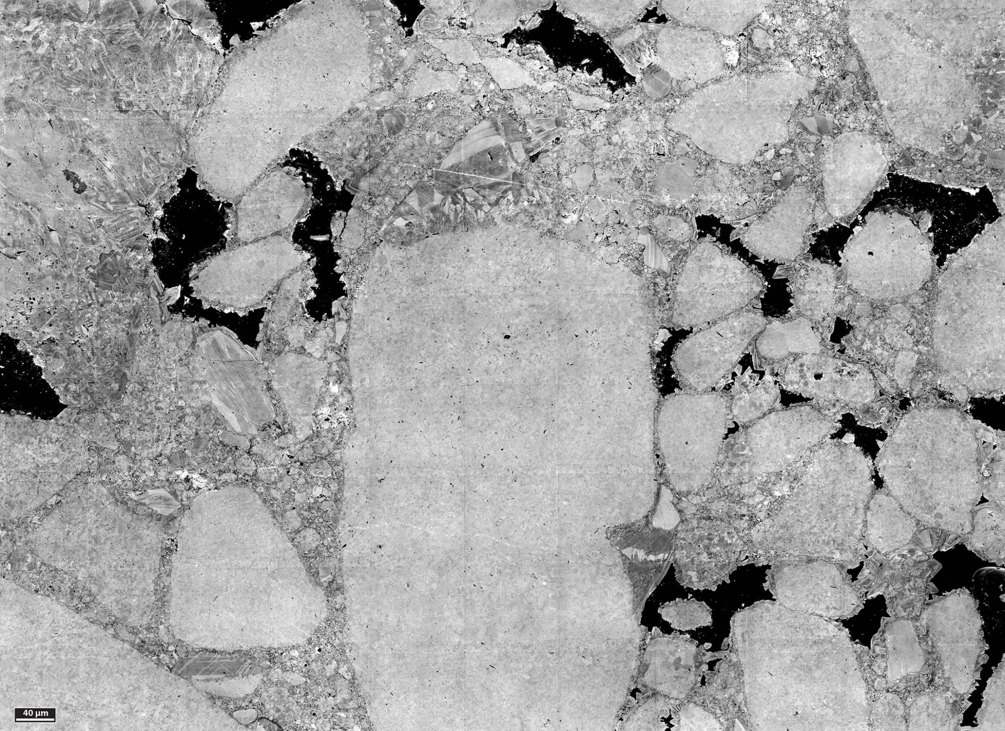 Things You Should Know About Jackson School Labs | Jackson School of ...