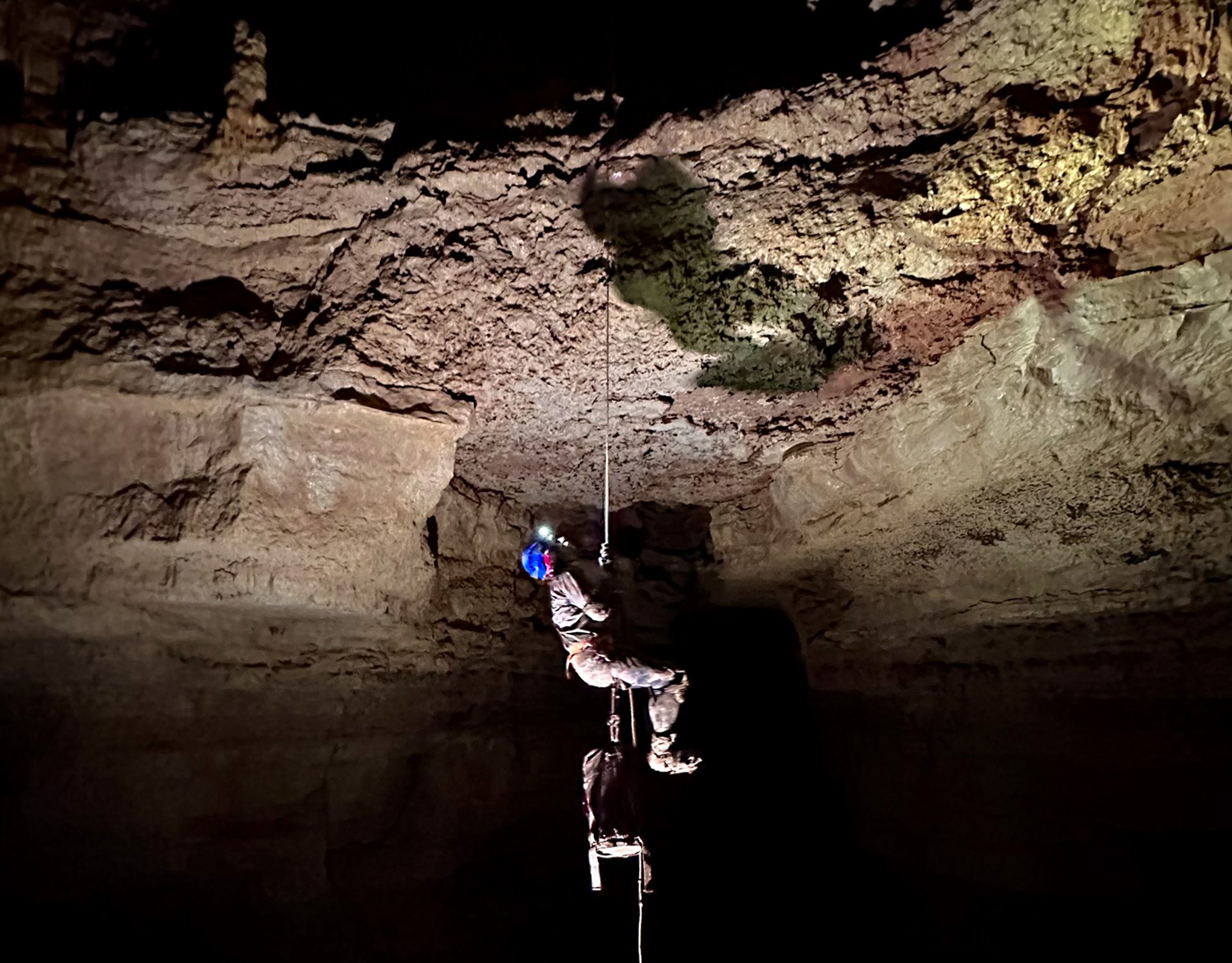 Cave Cat Bones Are Neotropical Species | Jackson School of Geosciences ...