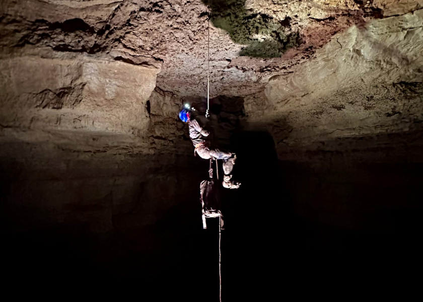 Here Cave Kitty, Kitty | Jackson School of Geosciences | The University ...