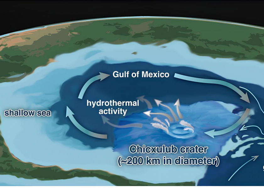 Life Recovered Rapidly at Site of Dino-Killing Asteroid. A Hydrothermal System May Have Helped ...