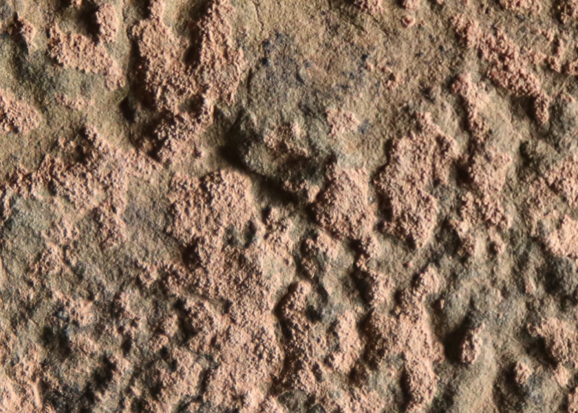 Look Again! Those Wrinkly Rocks May Actually Be a Fossilized Microbial ...