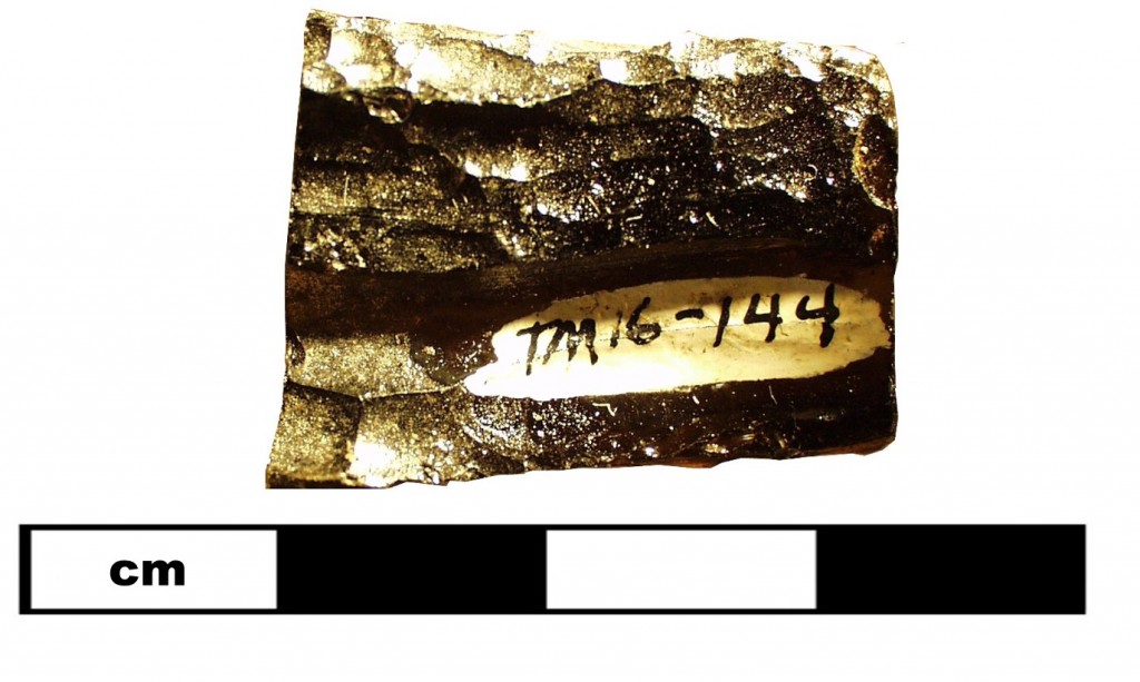 Tektites at NPL | Jackson School Museum of Earth History