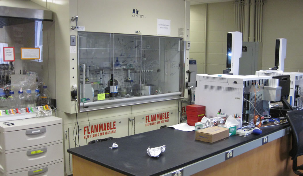 Lab | Paleoclimatology and Environmental Geochemistry Laboratory ...