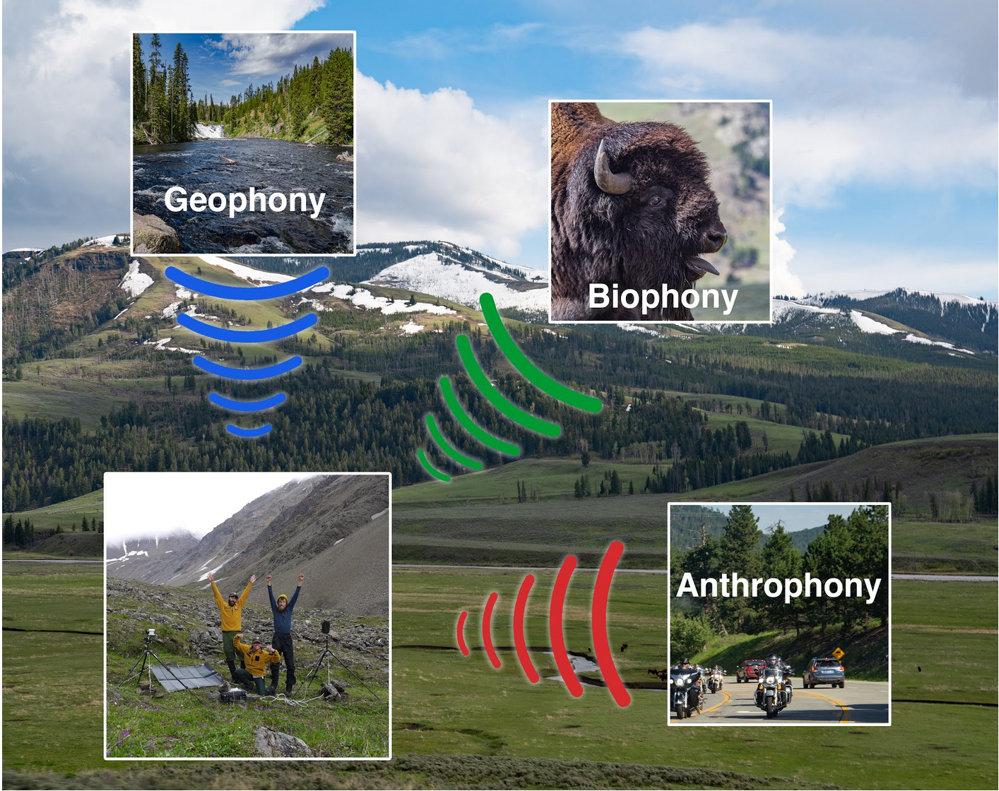 At the Intersection of Art, Science, and Community : Science Y'all ...