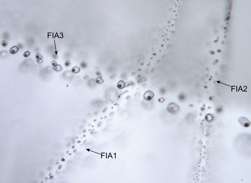 Fluid inclusion assemblages: new insights | Structural Diagenesis ...