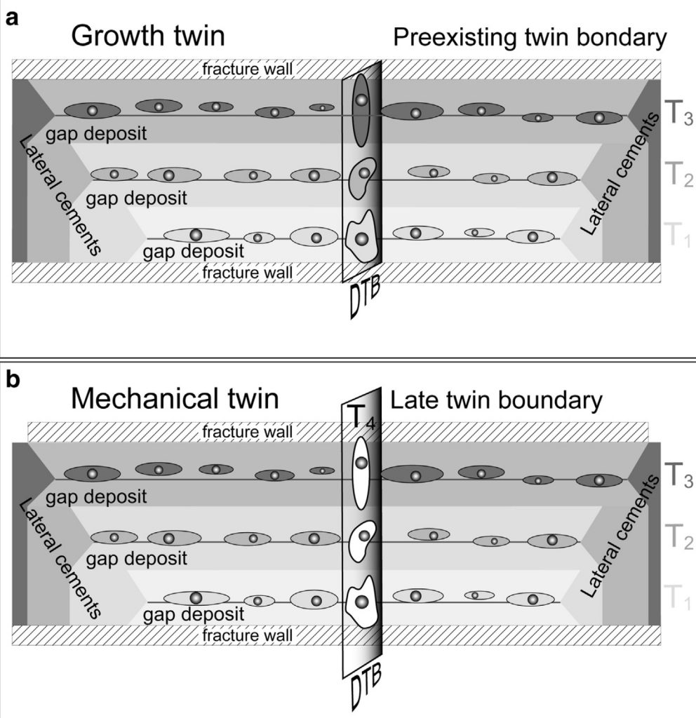 Dauphiné twins and fluid inclusion assemblages | Structural Diagenesis ...