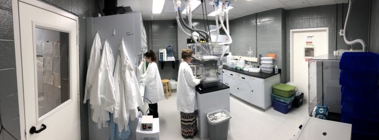 Clean Lab | MC-ICP-MS Lab