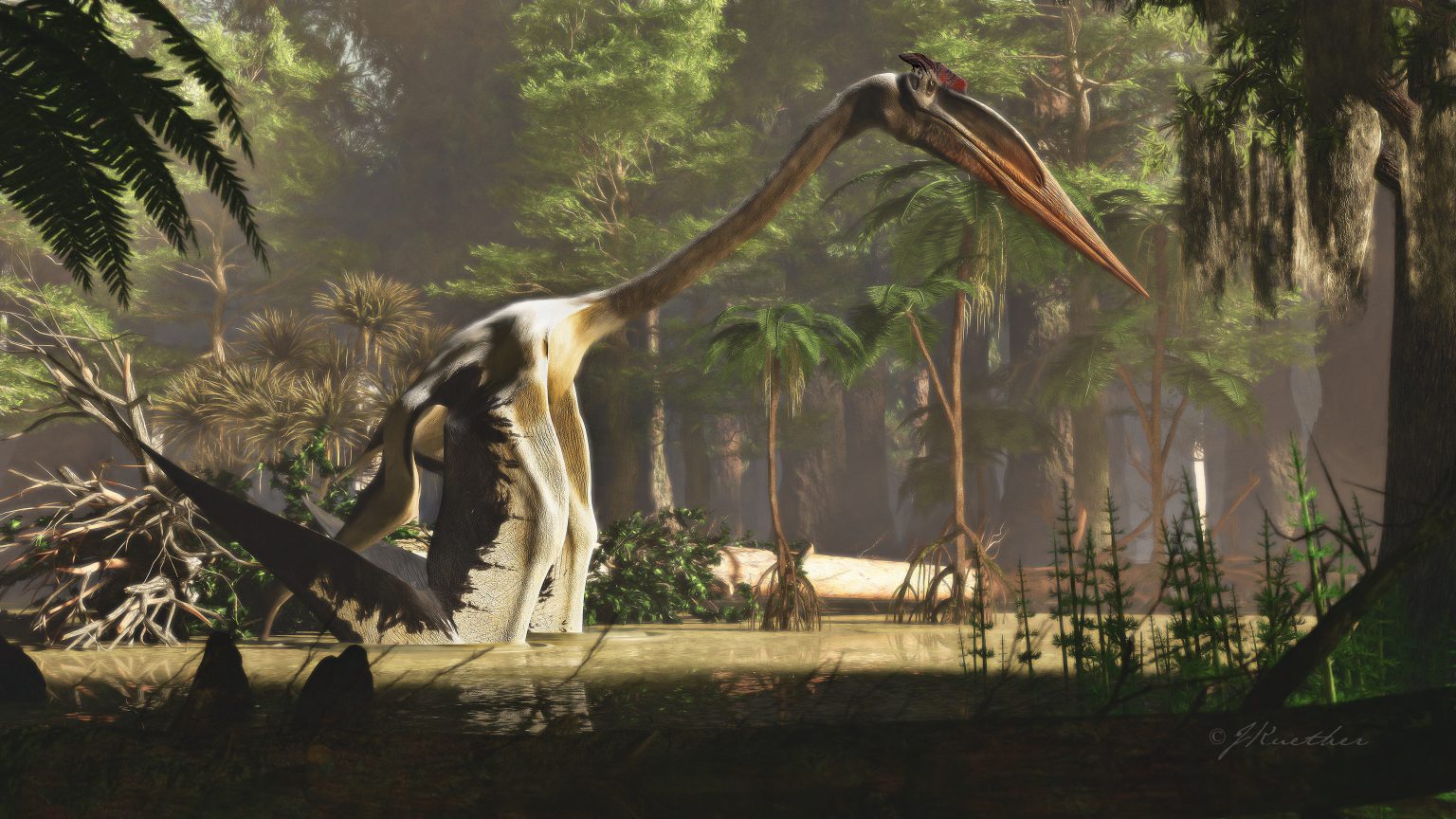 Pterosaurs of Big Bend | Texas Vertebrate Paleontology Collections ...