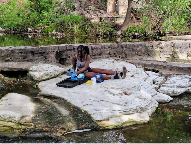 B.S. in Environmental Science | Jackson School of Geosciences | The ...